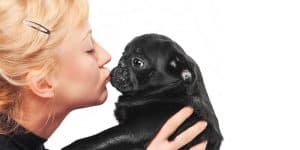 10 Pug Activities That Will Strengthen Your Bond