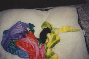 Caring for Senior Pugs What You Need to Know About