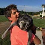 Leading Causes Of Death In Pugs [Understanding The Risks]