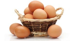 Can Pugs Eat Eggs And The Best Way To Keep Them Safe