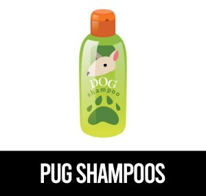 5 Of the Best Shampoo For Pugs To Fight Odor And Itching